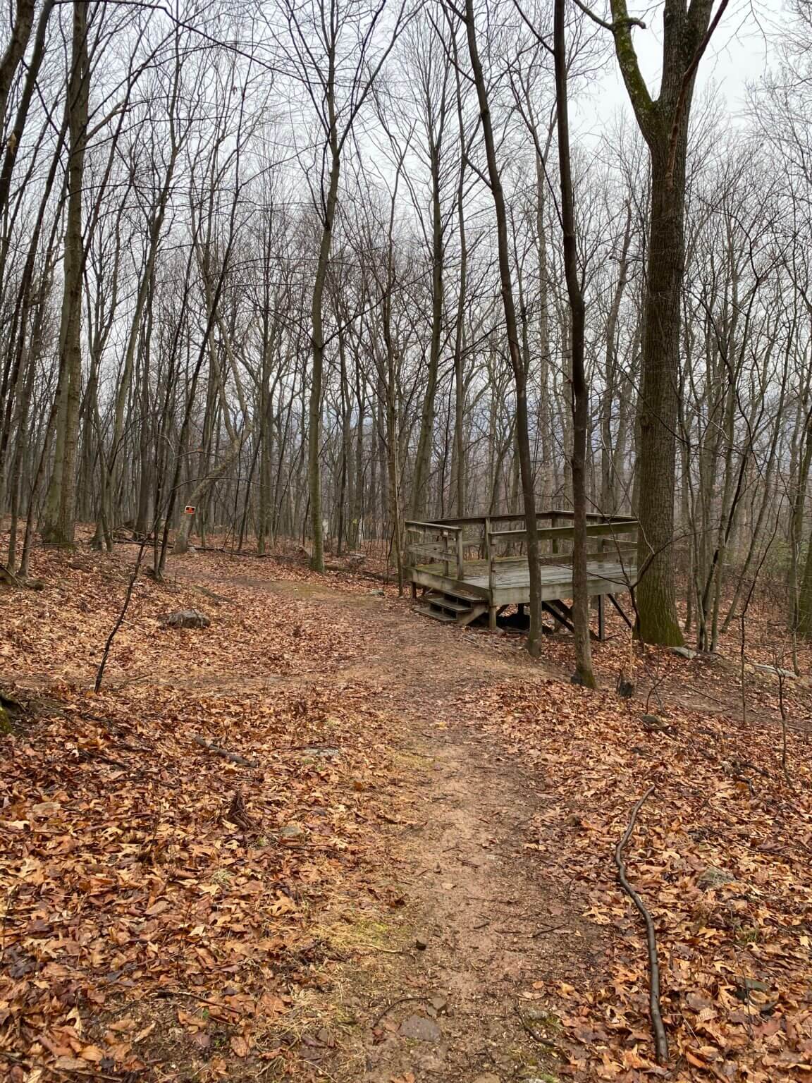 Fort Hunter Conservancy Fall Foliage Hike – Adventure Awaits - Fort ...