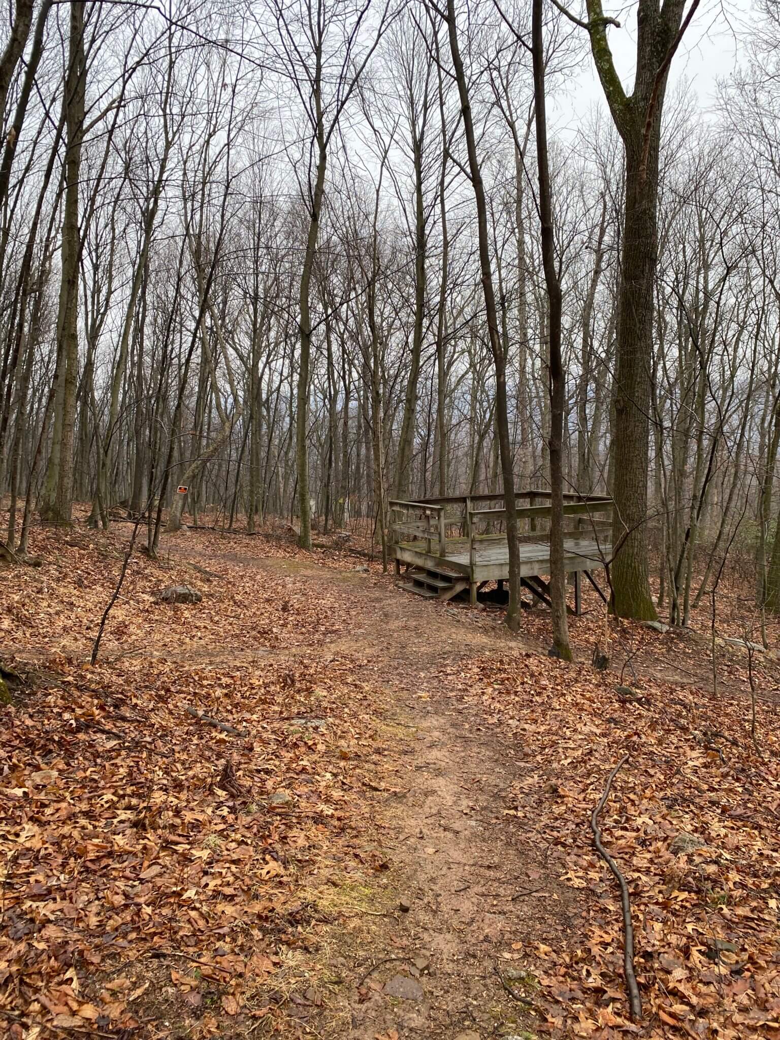 Fort Hunter Conservancy Fall Foliage Hike – Adventure Awaits - Fort ...